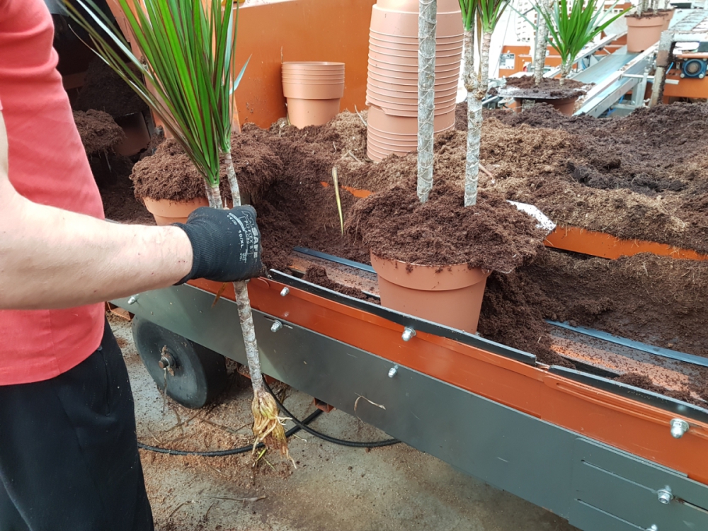 Working with plants in a greenhouse - production worker - Flexible ...